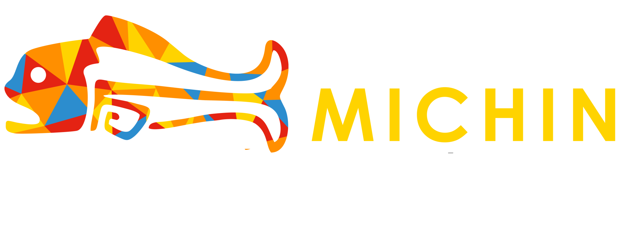 Quienes Somos – Acuario Michin CDMX
